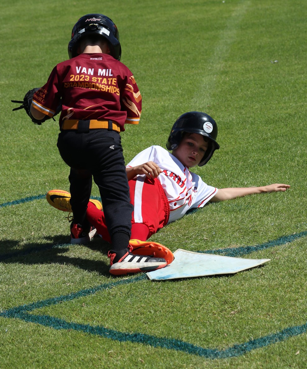 Tee Ball State Championship