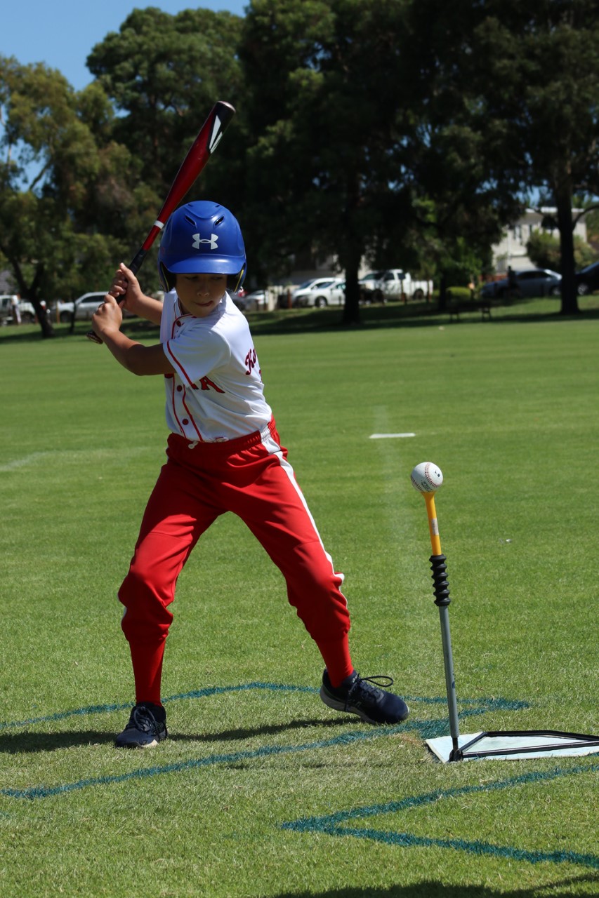 Tee Ball State Championship